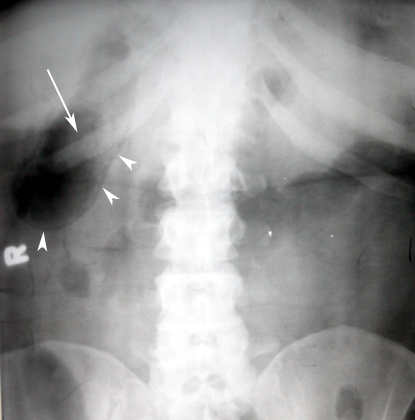 New Page 2 [www.stritch.luc.edu]