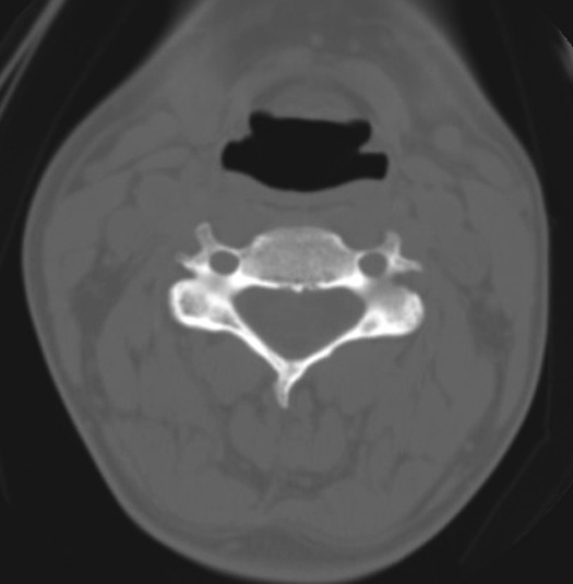 New Page 2 [www.stritch.luc.edu]