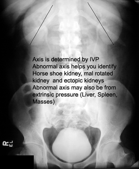 Try to identify the following
