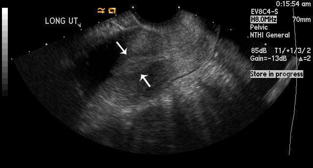 Untitled Document [www.stritch.luc.edu]